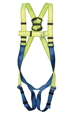 Different Types of Harnesses